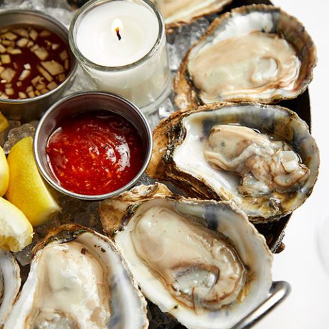 Dinner | Tortoise Supper Club